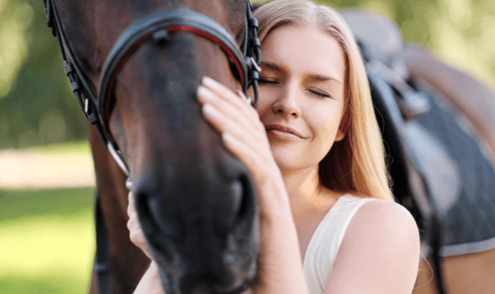 What are the stages of training a young horse from ground work to ...