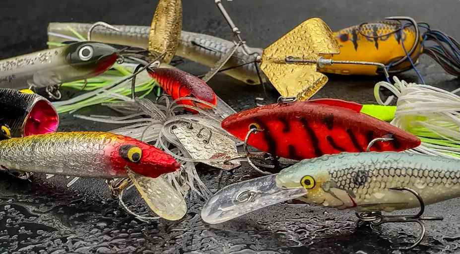 Art and Innovation of Fishing Lures: How Modern Designs Are Elevating ...